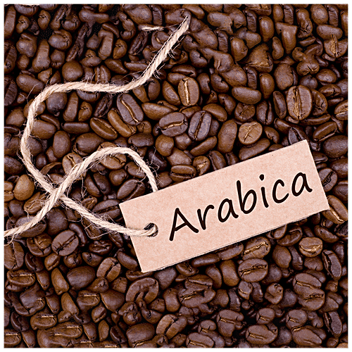 Buy Sapphire Intense Instant Coffee - 100% Arabica, Columbian Beans ...