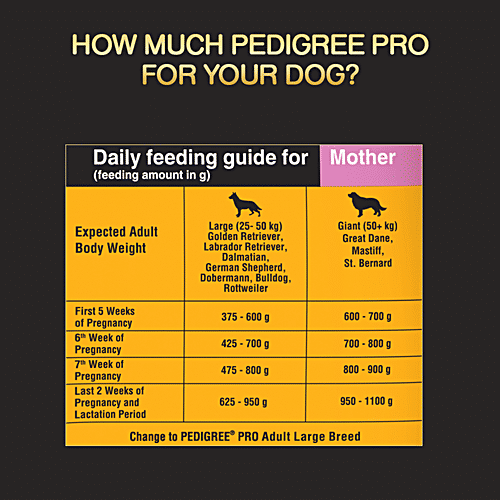Buy Pedigree PRO Mother & Pup Starter Large Breed - Dry Dog Food, For ...