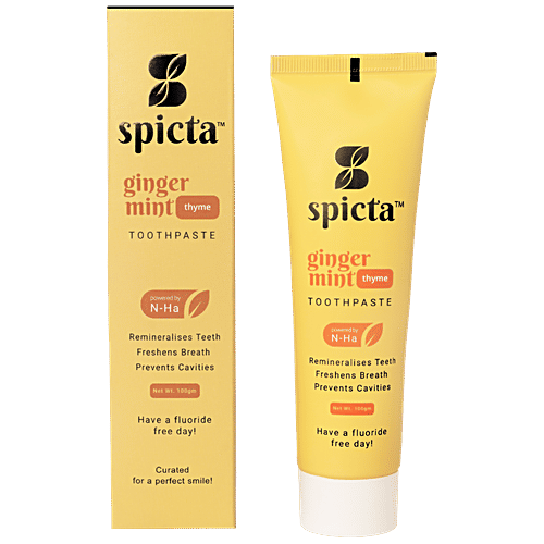 Buy Spicta Ginger Mint Toothpaste - With Thyme Online at Best Price of ...
