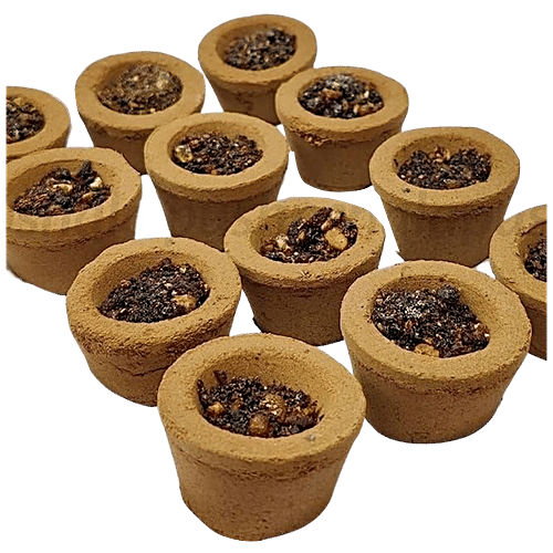 Buy Kesari Hawan Sambrani Cup - Kapoor Online at Best Price of Rs 99 ...