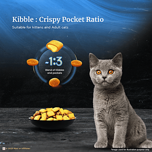 Buy SHEBA Dry Cat Food - Salmon Flavour, Kitten & Adult Online at Best ...