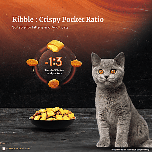 Buy SHEBA Dry Cat Food - Chicken Flavour, Kitten & Adult Online at Best ...