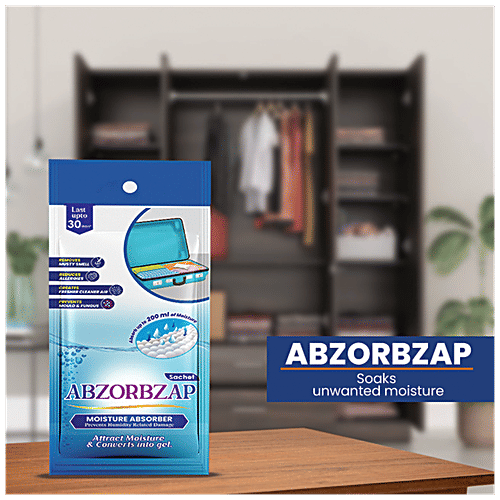Buy Absorbzap Moisture Absorber Online at Best Price of Rs 110 - bigbasket