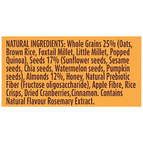 Buy WellBe Wholesome Apple & Cinnamon Snack Bar Online at Best Price of ...