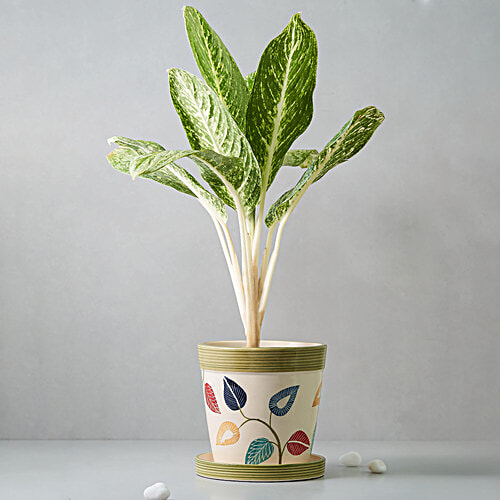 Buy bb home Earth Planter/ Pot With Tray, Hand-Painted Ceramic, Vintage ...