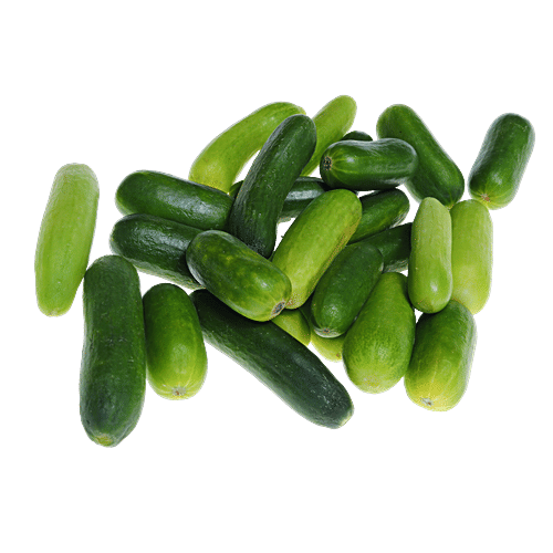 Buy fresho! Snibs Cucumber Pack Online at Best Price of Rs 104.11 ...