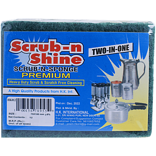Buy Scrub N Shine 2 In 1 Sponge & Scrub Pad Online at Best Price of Rs ...