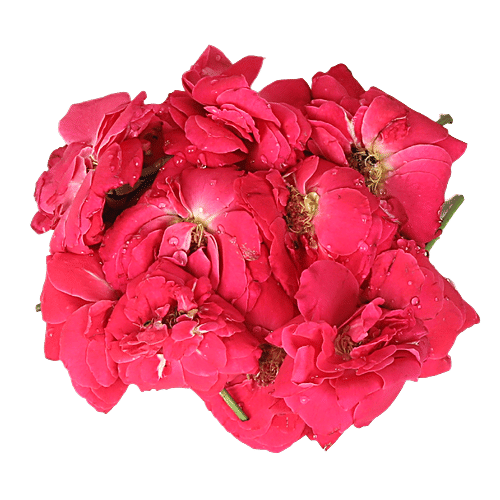 Buy Hoovu Fresh Paneer Roses Online at Best Price of Rs 90 - bigbasket