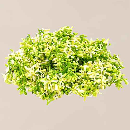 Buy fresho! Neem Flower Online at Best Price of Rs 70 - bigbasket