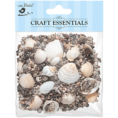 Buy Little Birdie Seashells Assorted - Craft Essentials Online at Best ...
