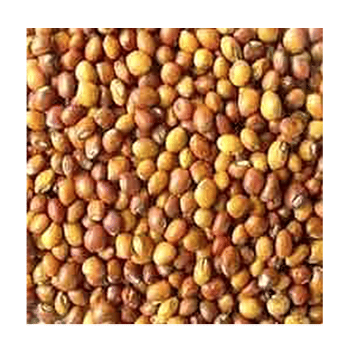 Buy bb Royal Raw Toor - Whole, Bulk Online at Best Price of Rs null ...