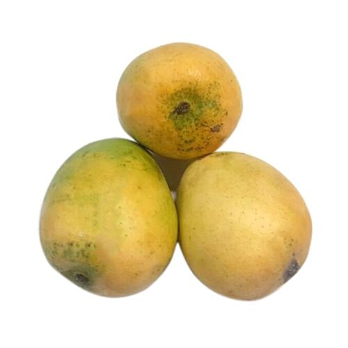 Buy Fresho Mango Jawaharpasand 1 Kg Online At Best Price of Rs null ...