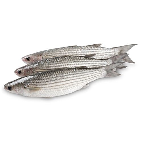 Buy Jacobs Fresh Chicken Fish Mullet Mala Madavai Kanampu Fillet Cut ...