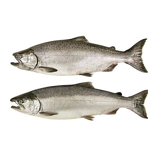 Buy Jacobs Fresh Chicken Fish Indian Salmon Rawas Vameenu Rumus Kaala ...