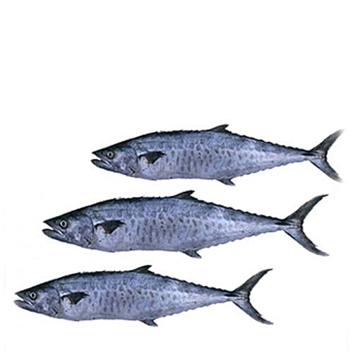 Buy The Chop Shoppe Fish - Seer Fish / Vanjaram / Neymeen / Anjal ...