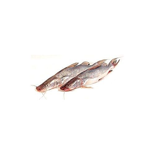 Buy A Meaty Treat Fish Ayer Medium 1 Kg Online at the Best Price of Rs null - bigbasket