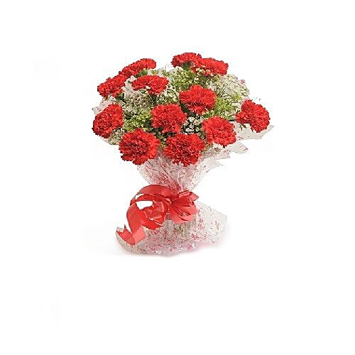 Buy Ferns N Petals Flower Bouquet Red Delight 500 Gm Online at the Best ...