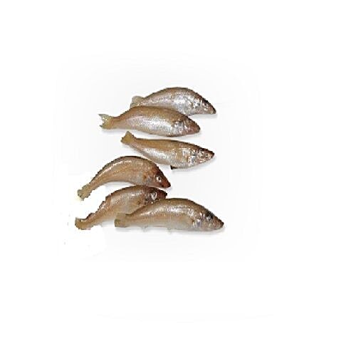 Buy Gala Seafood Fish Kilangan Lady 1 Kg Online at the Best Price of Rs ...