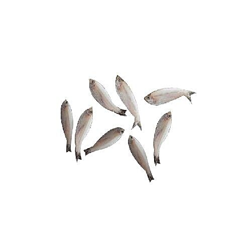 Buy Gala Seafood Fish Nethili Big Anchovy 1 Kg Online at the Best Price ...