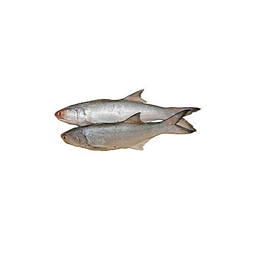 Buy Fish O Fish Fish Kala 1 Kg Online at the Best Price of Rs null ...