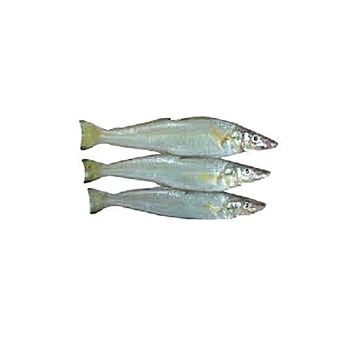 Buy Fresh Catch Fish Lady Fish Big 1 Kg Online at the Best Price of Rs ...