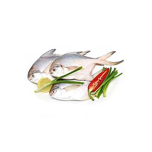 Buy Mumbai Machhli Fish Pomfret Paplet Medium 1 Kg Online at the Best ...