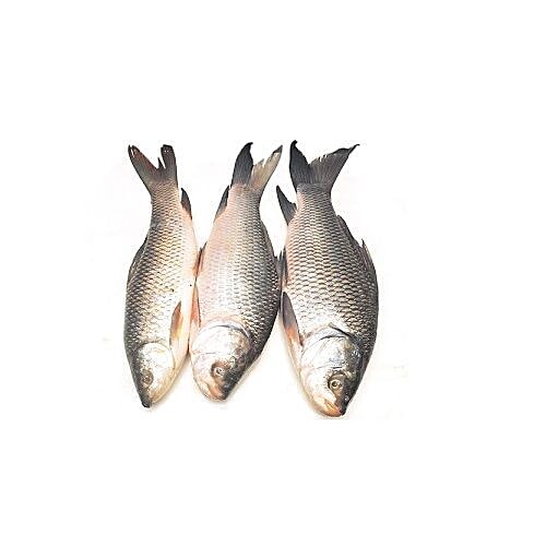Buy Jai Proteins Fish - Catla Big (katla) Online at Best Price of Rs ...