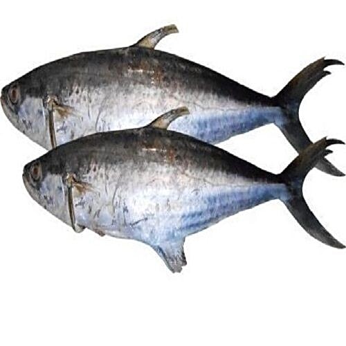 Buy Meat Mart Fish - Prachi Just Cleaned Online at Best Price of Rs ...