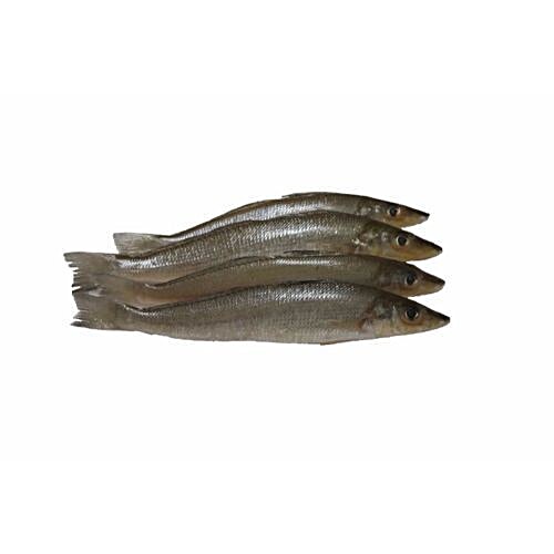 Buy Fresh Fish Chicken Mutton Mart Fish - Lady 500 gm Cut into 3 pcs ...