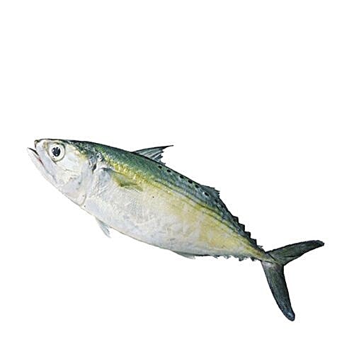 Buy Mangalore Fish Shop Fish - Mackerel 1 Kg (slices) Online at Best ...