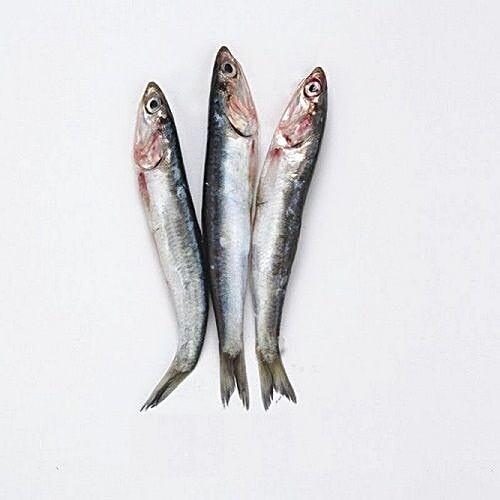 Buy Chennai Seafood Fish Anchovies Nethili 1 Kg Tray Online at the Best ...