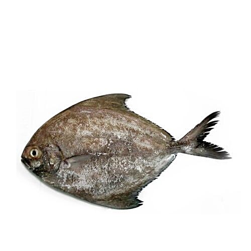 Buy Sakana Fish - Black Pomfret / Aavoli / Vawal / Kappu Manji 500 gm ...