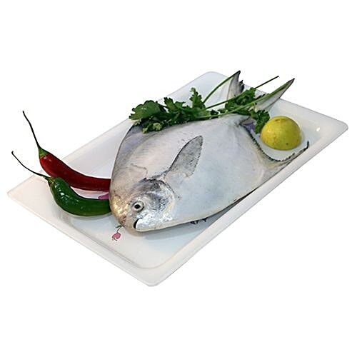 Buy Hamvi Fish White Pomfret Large 500 Gm Online at the Best Price of ...