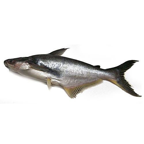 Buy Fresh Ctach Bannerghatta Fish - Cat / Pungus / Basa 1 kg (Fry Cut ...
