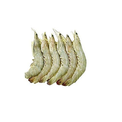 Buy Test Fish O Fish Prawn White Prawn Vellai Eral 1 Kg Online at the ...