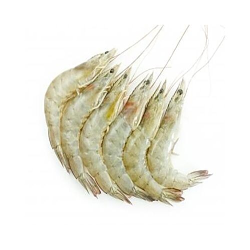 Buy Rajas live fish and chicken Fish - White Prawns (Big) Online at ...