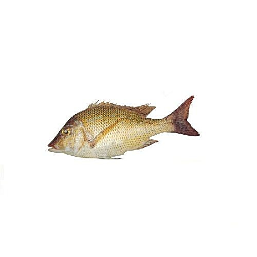 Buy SAK Proteins Fish - Emperor / Vilai Meen, Medium Online at Best ...