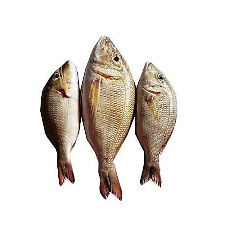 Buy Crazy Fish Fish - Vilai Meen / Emperor Online at Best Price of Rs ...