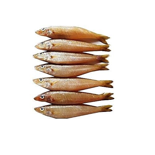 Buy Crazy Fish Fish - Kilangan / Lady Fish Online at Best Price of Rs ...