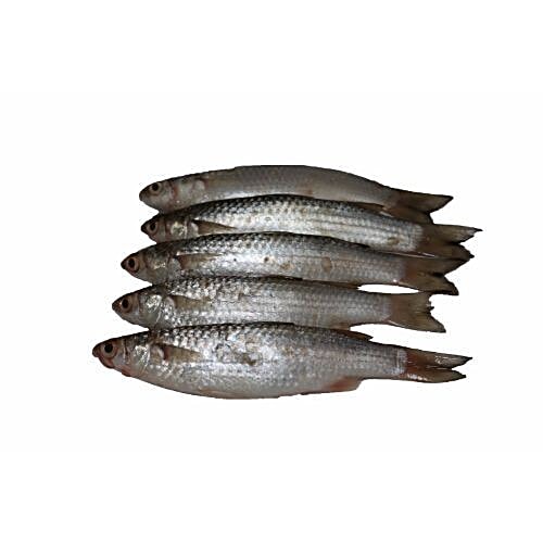 Buy Fresh Catch Fish - Prachi 500 gm (Just Cleaned) Online at Best ...