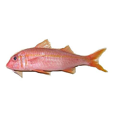 Buy Samudra Fish Stall Fish - Kilimeen Red 500 gm (Medium Slice) Online ...