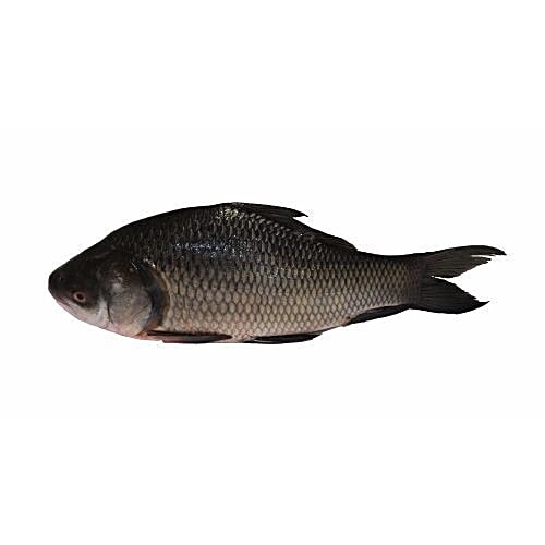 Buy Samudra Fish Stall Fish - Catla 1 kg (Slice Cut) Online at Best ...