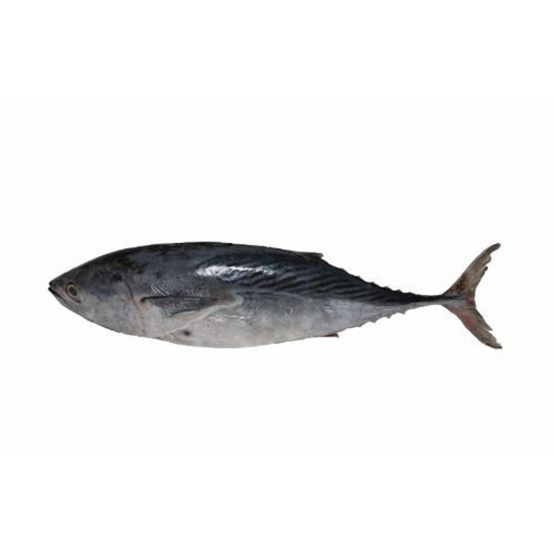 Buy Samudra Fish Stall Fish - Tuna / Choora 1 kg (Thick Slice) Online ...