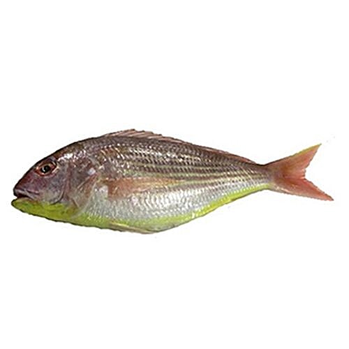 Buy ME FRESH Fish - Pink Perch / Rani / Shankara 1 kg (Just Cleaned ...