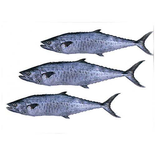 Buy Jacob's Fresh Chicken Fish - Seer Online at Best Price of Rs null ...