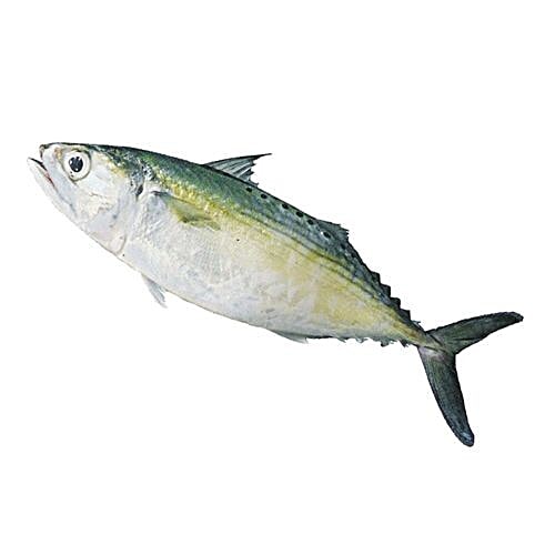 Buy Jacob's Fresh Chicken Fish - Mackerel / Bangda 1 kg (Curry Cut ...