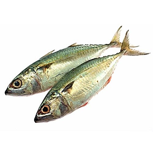 Buy Fresh Catch BGRoad Fish - Mackerel / Bangda 1 kg (Just Cleaned ...
