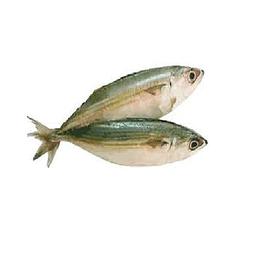 Buy Sai Saloni Fish Fish - Mackerel / Bangda Online at Best Price of Rs ...