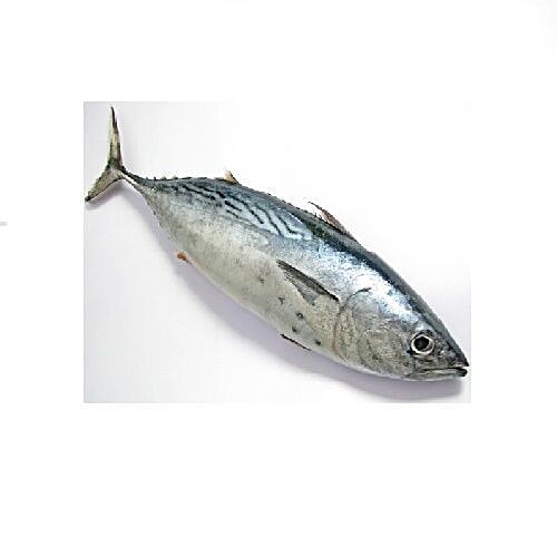 Buy Sai Saloni Fish Fish - Tuna Online at Best Price of Rs null - bigbasket