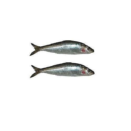 Buy JB Seafoods Fish - Chala Online at Best Price of Rs null - bigbasket